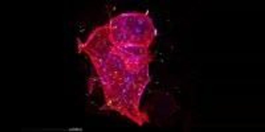 Exeter's New Microscope Technology Examines Cells in Even Greater ...