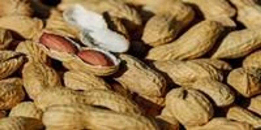 DNA-Based Method Detects Trace Amounts of Peanut in Foods | Lab Manager