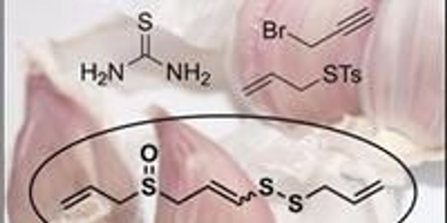 Garlic Ingredient from the Lab Bench | Lab Manager