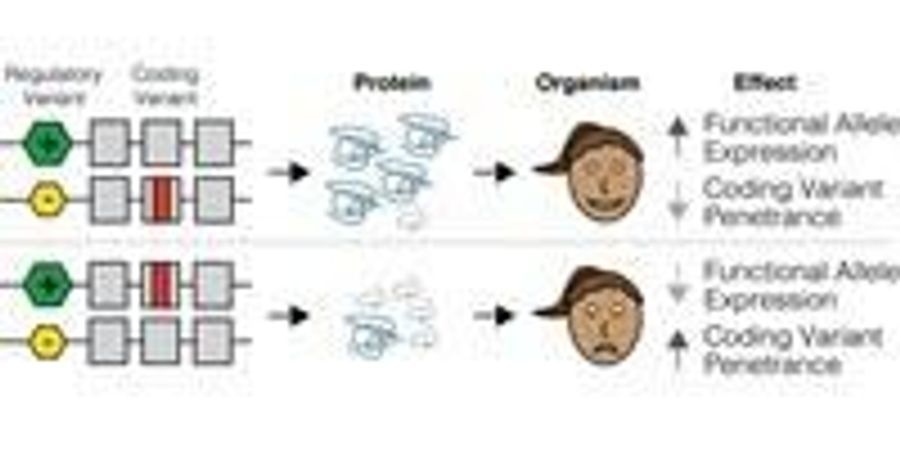 New Study Explains Why Genetic Mutations Cause Disease in Some People ...
