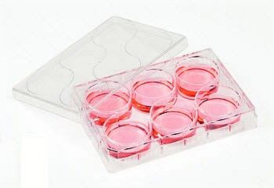 What to Look for in Cell Culture Vessels | Lab Manager