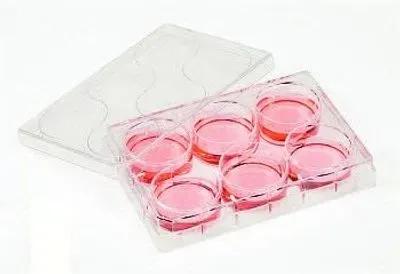What to Look for in Cell Culture Vessels | Lab Manager
