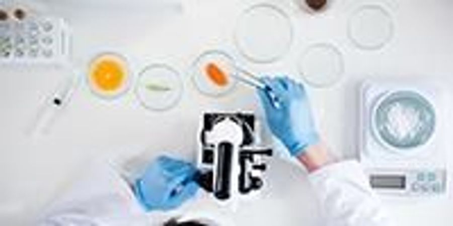 New Study Pinpoints Ways to Improve Quality of Food and Nutrition ...