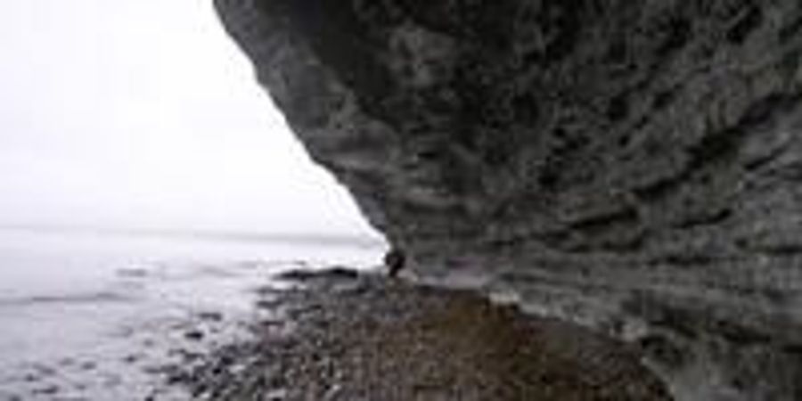 Scientists Find Widespread Ocean Anoxia as Cause for past Mass ...