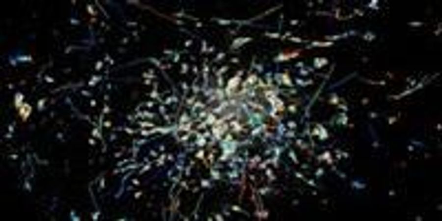 Better Together: Merged Microscope Offers Unprecedented Look at ...