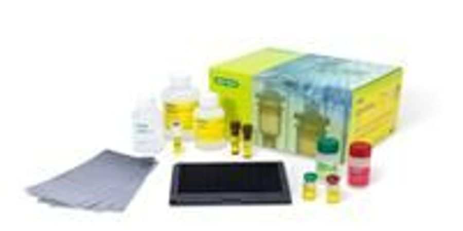 Bio-Rad Expedites Disease Biomarker Discovery and Drug Development with ...