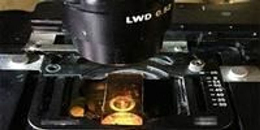 Newly Improved Glass Slide Turns Microscopes into Thermometers | Lab ...