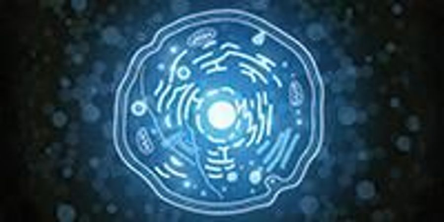 In a First for Cell Biology, Scientists Observe Ribosome Assembly in ...