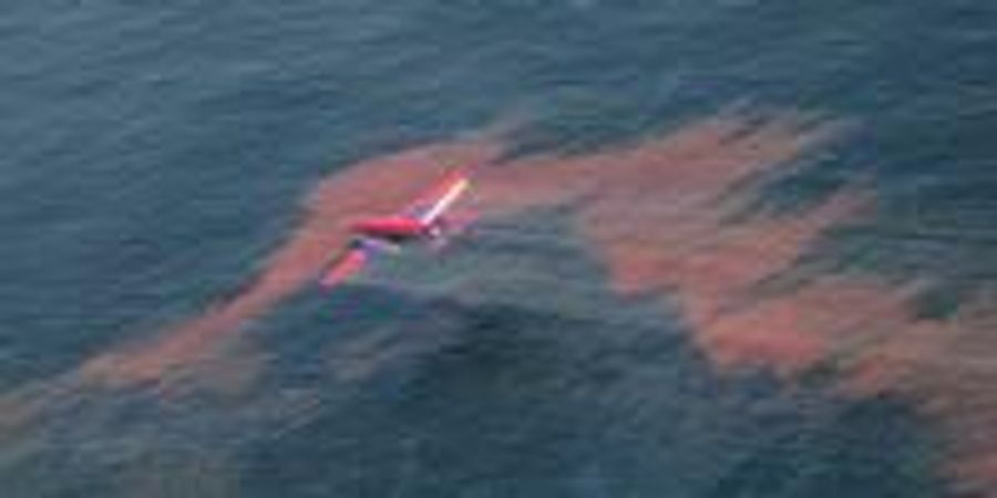 Sunlight Reduces Effectiveness of Dispersants Used to Clean up Oil ...