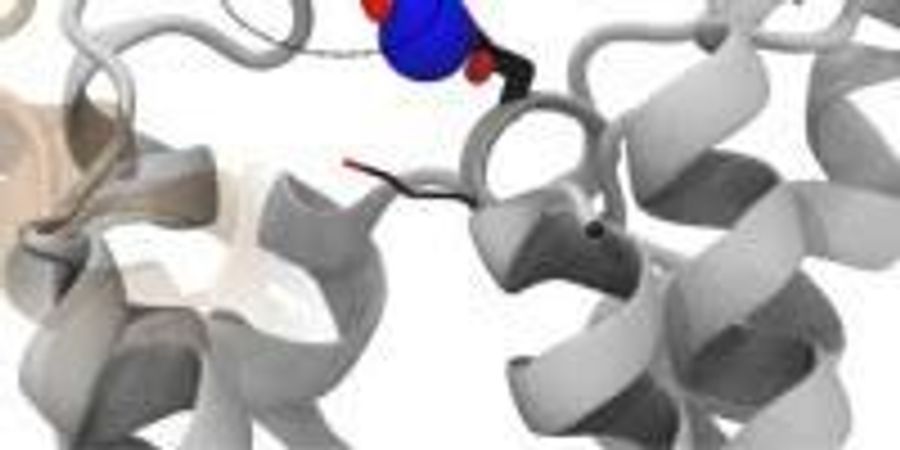 Understanding a Cell's 'Doorbell' | Lab Manager