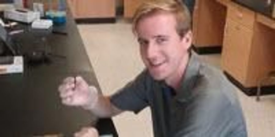 Scientists Team Up to Research Plight of Honeybees | Lab Manager