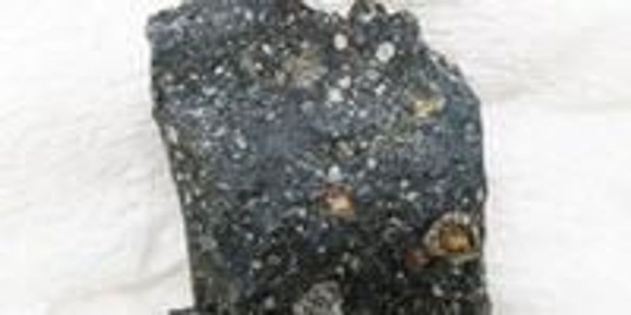 Sugar Delivered to Earth from Space | Lab Manager