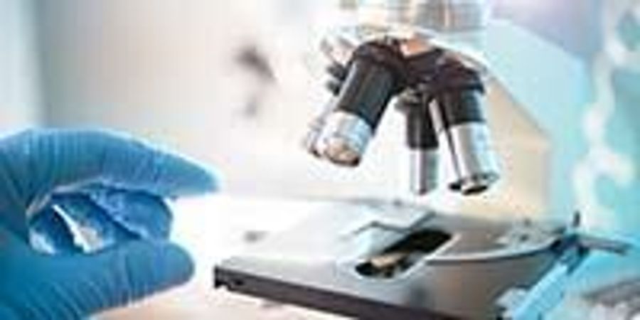 Choosing the Best Microscopy Solution for Your Lab | Lab Manager