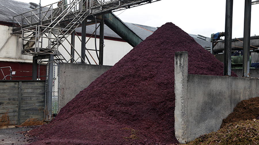 From Landfill to Lipstick: Grape Waste as a Cosmetic and Food ...