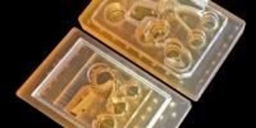 "Body on a Chip" Could Improve Drug Evaluation | Lab Manager