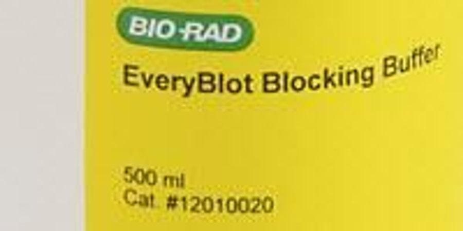 Bio-Rad Introduces EveryBlot Blocking Buffer that Offers 5-Minute ...