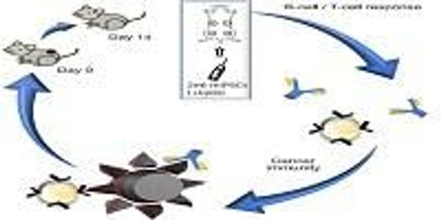 Stem Cell Vaccine Immunizes Lab Mice Against Multiple Cancers | Lab Manager