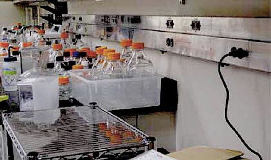 Starline Plug-In Raceway | Lab Manager