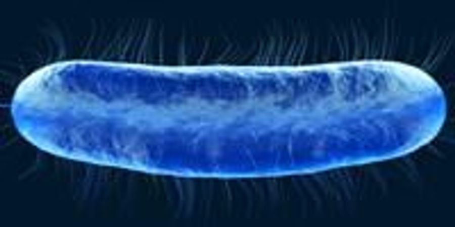 Giant Viruses May Play an Intriguing Role in Evolution of Life on Earth ...