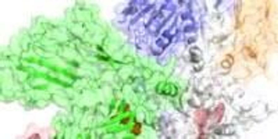 Cryo-EM Reveals Critical Protein-Modifying Complex and Potential Drug ...