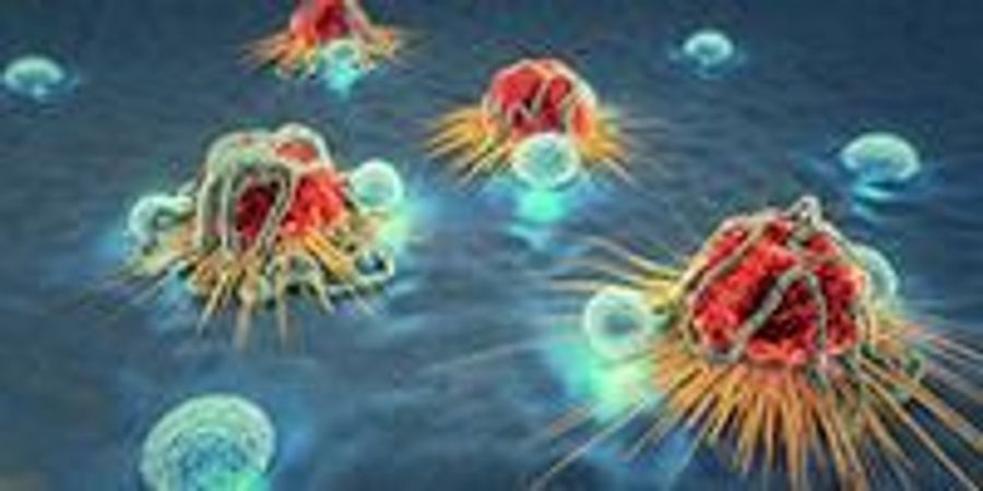 Deep Sea Creatures Provide a Guiding Light in the Quest to Develop ...