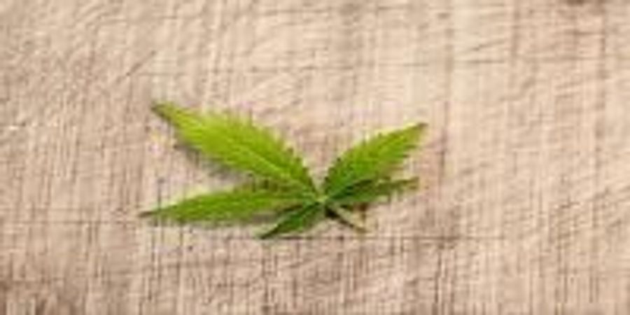 Recreational Marijuana Legalization: Do More Youth Use or Do Youth Use ...
