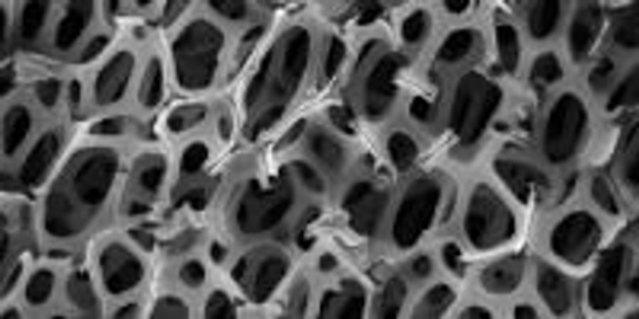 New Field Emission Scanning Electron Microscope ZEISS GeminiSEM 450 ...