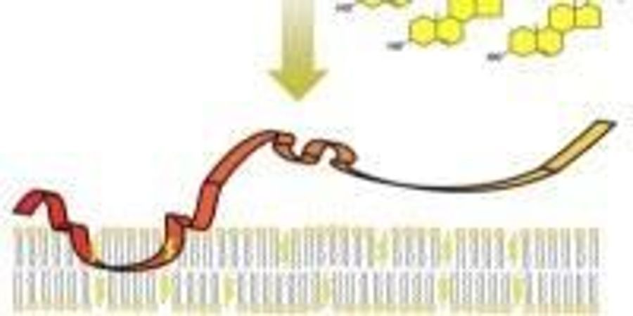 A Spring-Loaded Sensor for Cholesterol in Cells | Lab Manager
