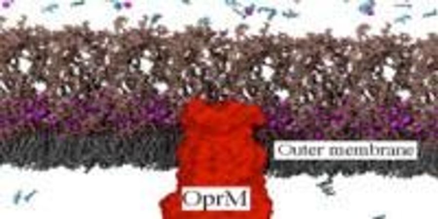 Computer Simulations Reveal Roots of Drug Resistance | Lab Manager