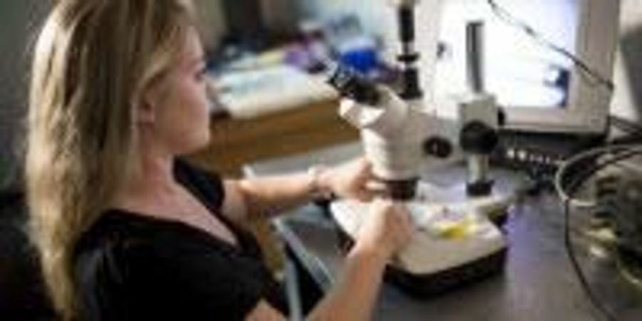 Study Shows This ‘Sweet Spot’ Could Improve Melanoma Diagnosis | Lab ...