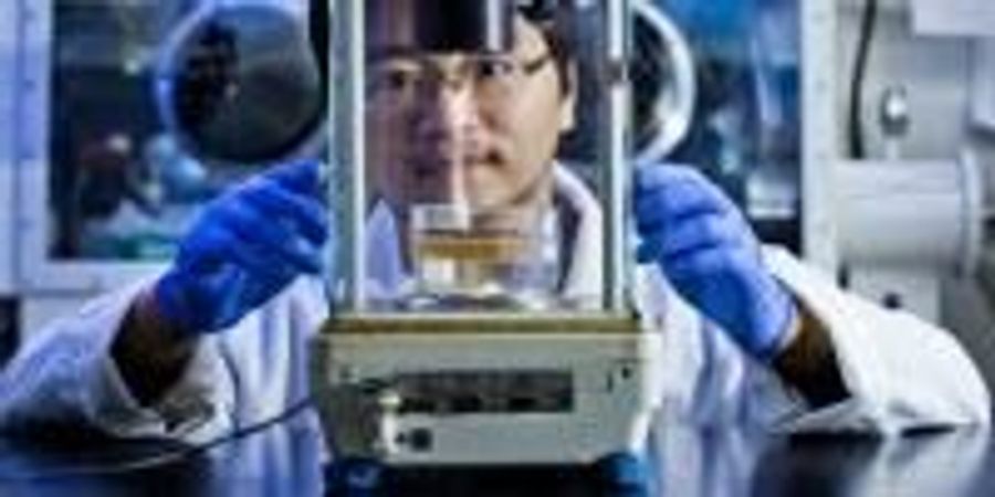 Pine and Poplar Wood Improve Sunlight-Driven Water Purification | Lab ...