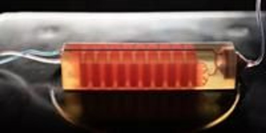 3D-Printed Device Finds ‘Needle in a Haystack’ Cancer Cells by Removing ...