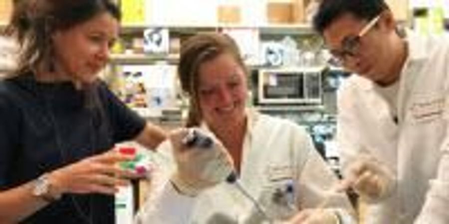 New Research Opens the Door to ‘Functional Cure’ for HIV | Lab Manager