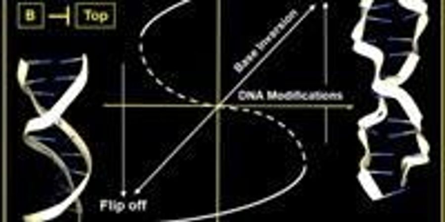 DNA Is like Everything Else: It's Not What You Have, but How You Use It ...