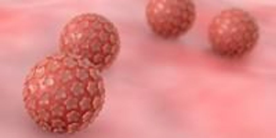 By Decoding How HPV Causes Cancer, Researchers Find a New Potential ...