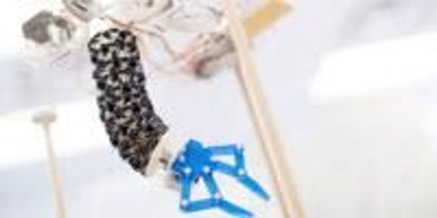 Scientists Design Soft, Flexible Origami-Inspired Robot | Lab Manager