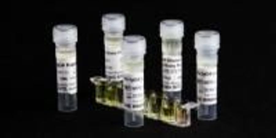 Binding Site Offers Varicella Zoster Virus (VZV) Antigens for IVD ...