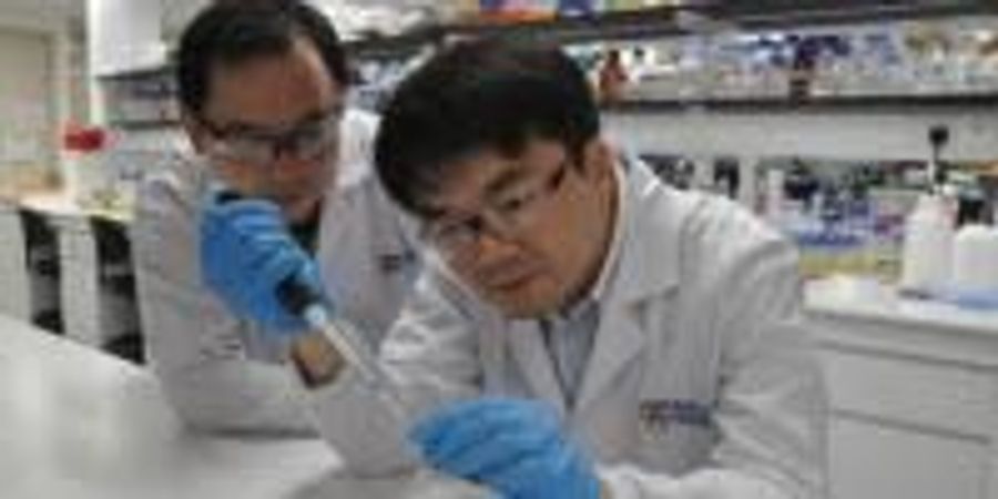 Scientists Combine Antimalarial Drug with Light-Sensitive Molecules for ...