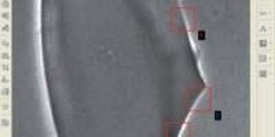 Calibrated Glass and Oil Standards for Glass Refractive Index ...