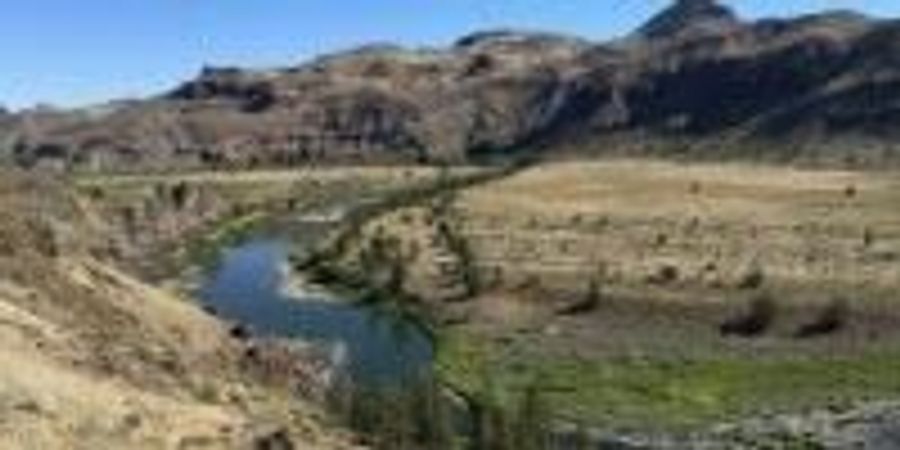 Climate Change Challenges the Survival of Fish across the World | Lab ...