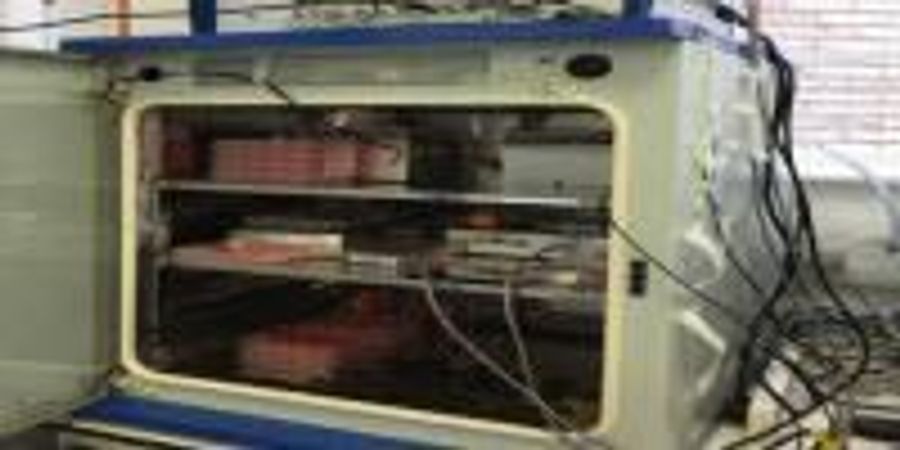 Lab-Grown Bone Cell Breakthrough Heralds New Benefits for Orthopedics ...