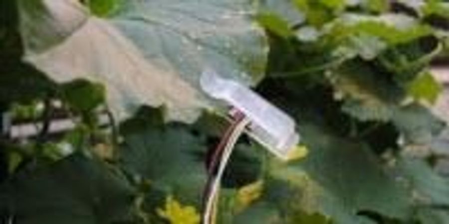 Leaf Sensors Can Tell Farmers When Crops Need to Be Watered | Lab Manager