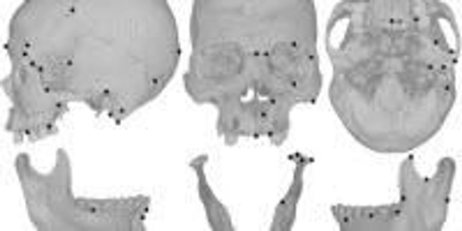 Farming, Cheese, Chewing Changed Human Skull Shape | Lab Manager