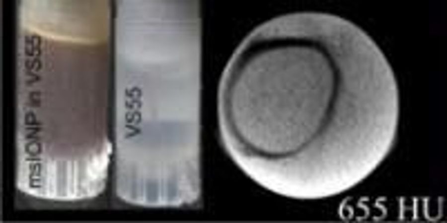 Nanotechnology Helps Rewarm Fast-Frozen Donor Tissue, Enabling Long ...