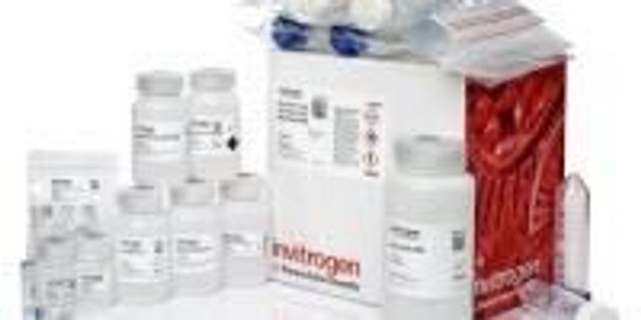 Thermo Fisher Scientific Strengthens Portfolio of Endotoxin-Free ...