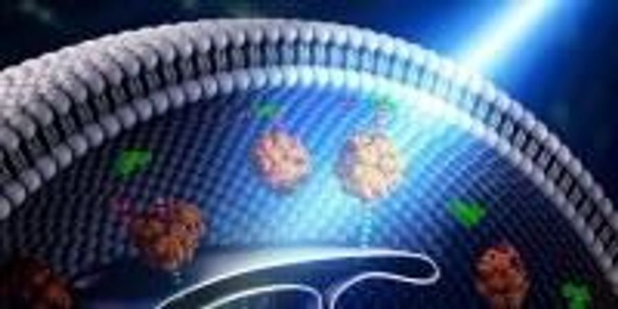 Building Bridges within the Cell—Using Light | Lab Manager