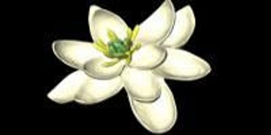 What Flowers Looked Like 100 Million Years Ago | Lab Manager