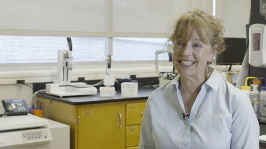 Automating Early Stage Cell Based Assay Development | Lab Manager