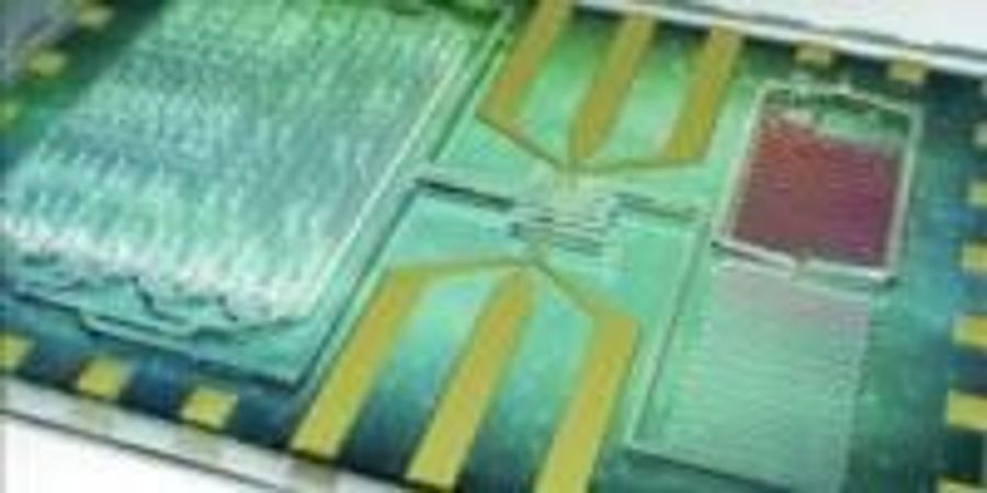 Quick Test Finds Signs of Sepsis in a Single Drop of Blood | Lab Manager