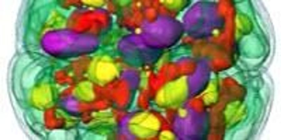 Sequencing of Green Alga Genome Provides Blueprint to Advance Clean ...